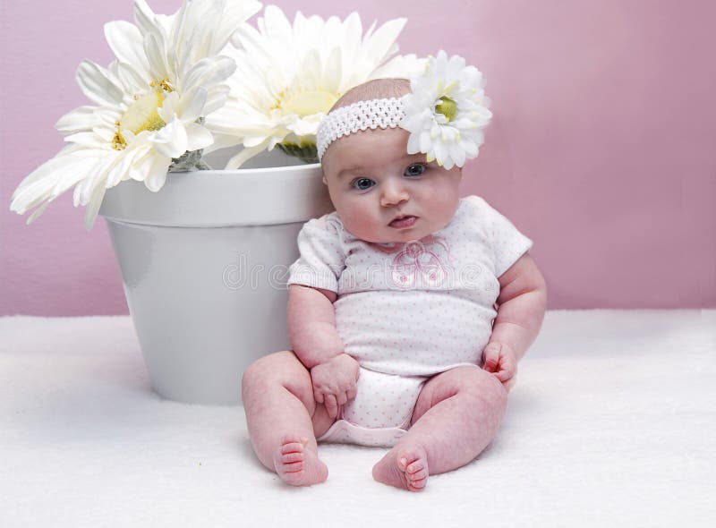 Baby Sitting Next To Flower Pot Stock Photos - Free & Royalty-Free ...