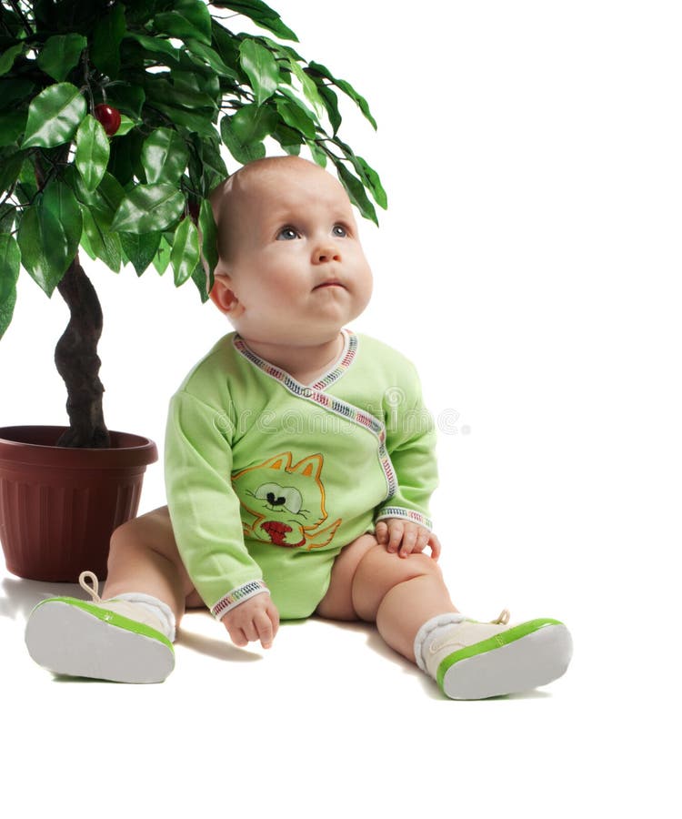 Baby Sitting Under Green Tree Stock Photo - Image of lifestyle, green ...