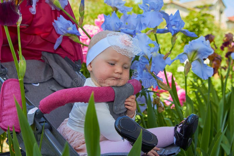 Baby Sleeping in Flowers,baby Sleeping in a Stroller in Iris Flowers ...