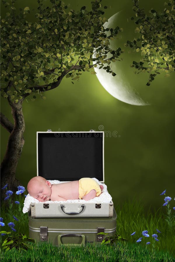 Baby sleeping under a tree stock image. Image of tree - 27151261