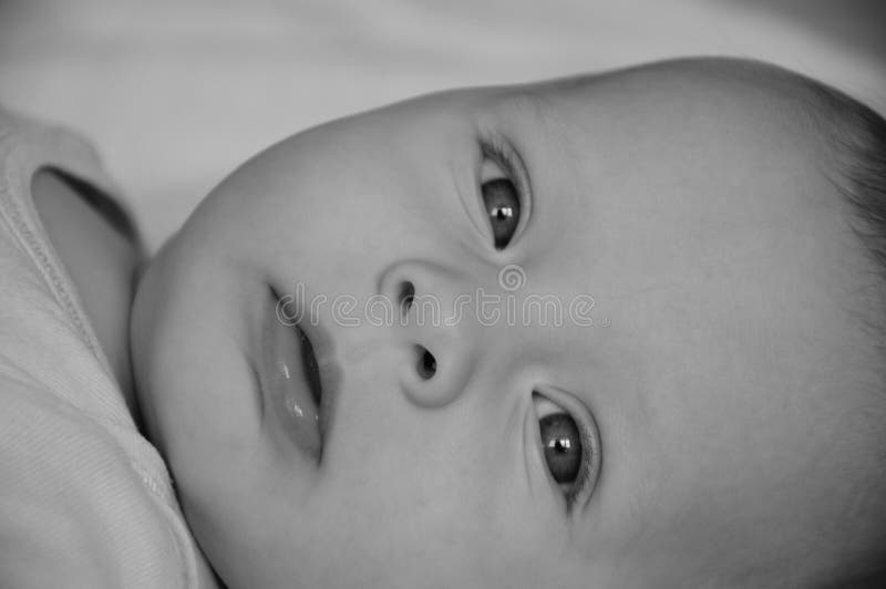 Baby Smart Look B Stock Photos - Free & Royalty-Free Stock Photos from ...