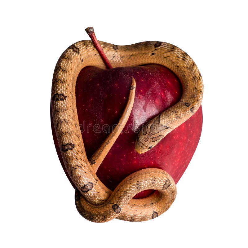 916 Cartoon Snake Stock Photos - Free & Royalty-Free Stock Photos from ...