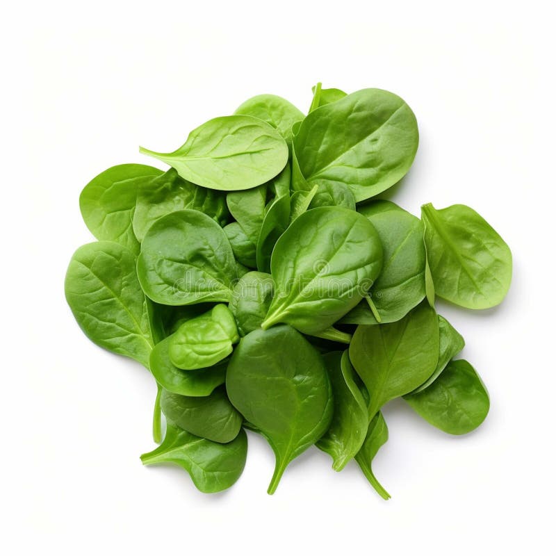 Spinach Field Stock Illustrations – 138 Spinach Field Stock ...