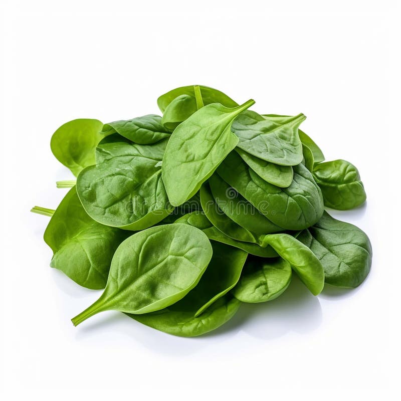 Spinach Field Stock Illustrations – 138 Spinach Field Stock ...