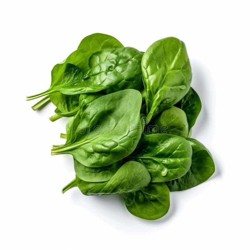 Spinach Field Stock Illustrations – 138 Spinach Field Stock ...