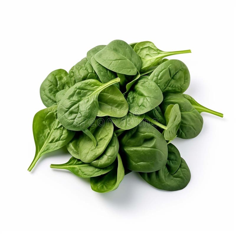 Spinach Field Stock Illustrations – 138 Spinach Field Stock ...