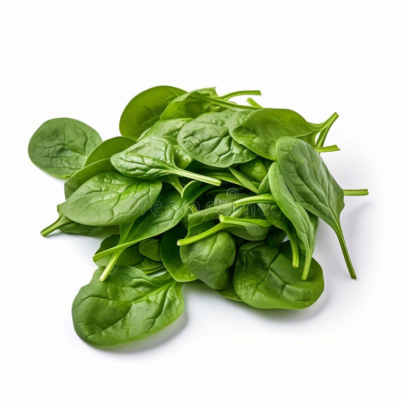Spinach Field Stock Illustrations – 138 Spinach Field Stock ...