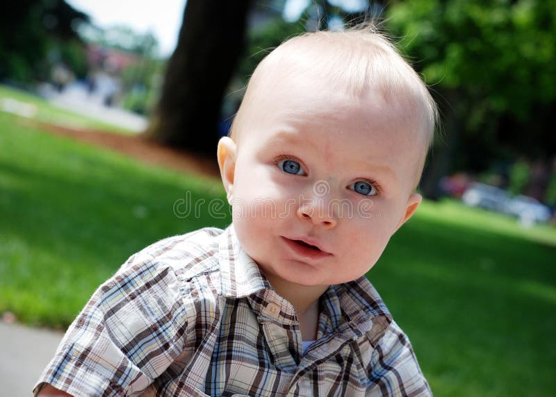 Baby Staring - horizontal stock photo. Image of yard, happy - 5559874