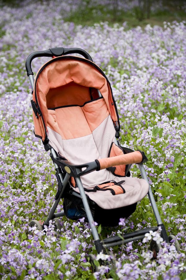 Baby Stroller stock photo. Image of empty, meadow, landscape - 14475900