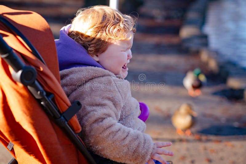 Baby in Stroller Crying in the Park during a Sunny Afternoon Surrounded ...
