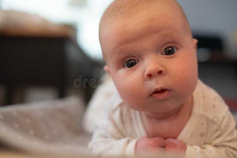Baby study vegetables stock photo. Image of developmant - 21492176