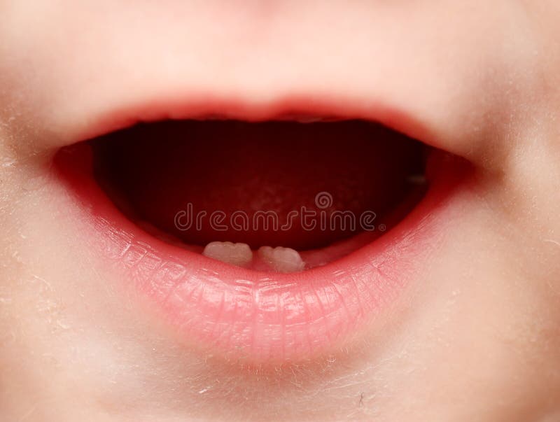 Baby teeth stock photo. Image of baby, childcare, innocent - 26628902