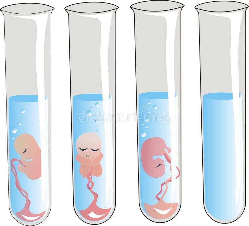 Baby from test tube stock vector. Illustration of umbilical - 7219359