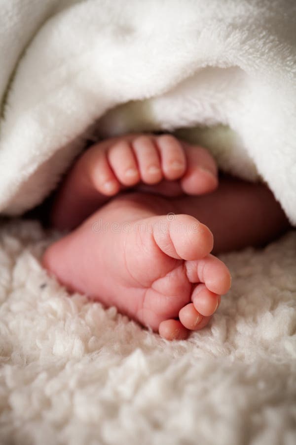 Baby feet stock image. Image of adorable, beauty, feet - 5669753