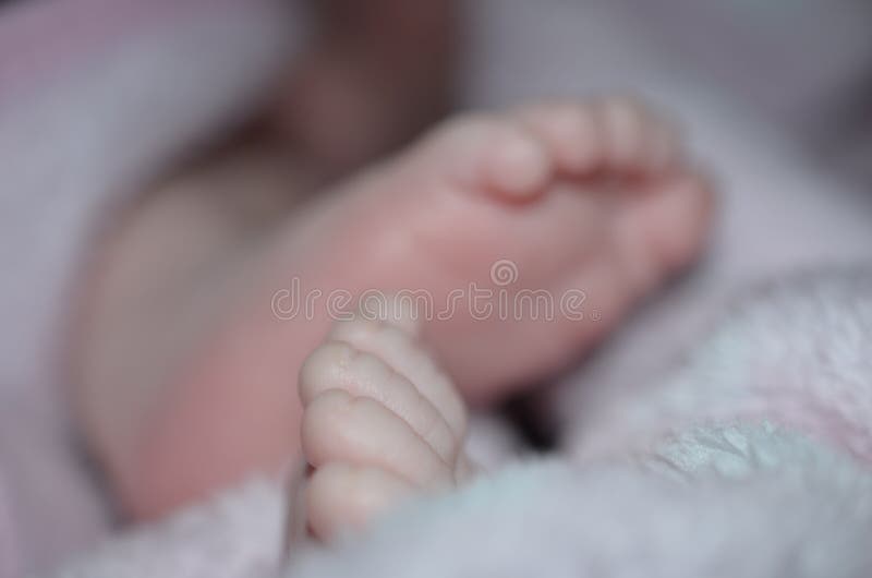 Baby Toes stock image. Image of soft, infant, wrapped - 49260035