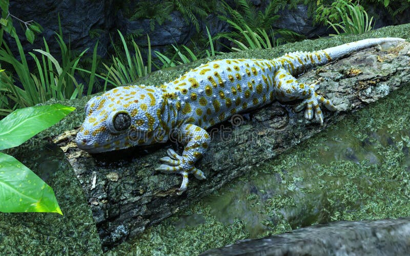 A Baby Tokay Gecko is Climbing on a Tree Stock Photo - Image of render ...