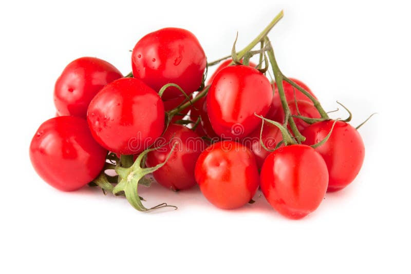 Baby tomatos stock photo. Image of baby, drop, horizontal - 30240214