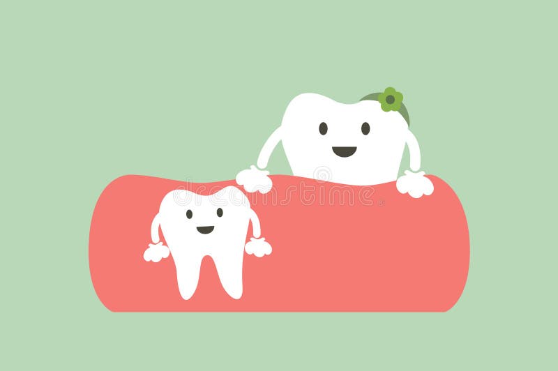 Teeth grow stock vector. Illustration of mouth, health - 60011783