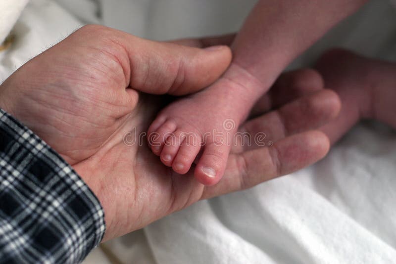 Baby touch stock photo. Image of parent, beginning, lifestyle - 845332