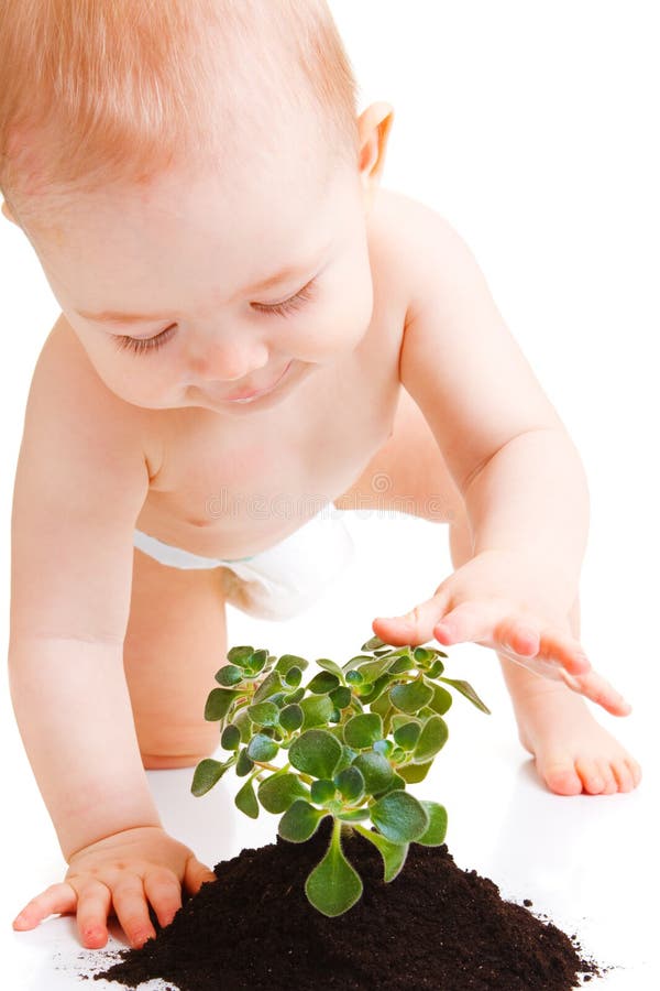Baby touching plant stock image. Image of little, human - 13308439
