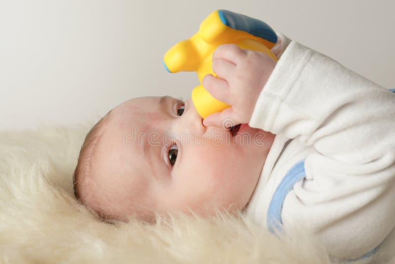Baby with Toy in Mouth stock image. Image of chewing - 13242453