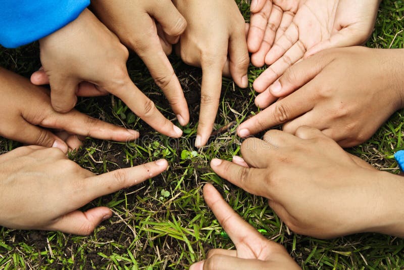 Baby Tree stock photo. Image of prosper, prosperous, growth - 23767490