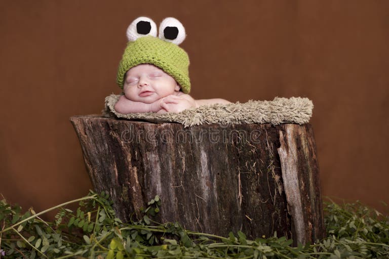 28,474 Frog Pictures Cute Stock Photos - Free & Royalty-Free Stock ...