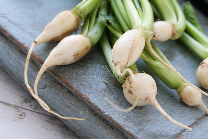 Baby Turnips on Wooden Board Stock Image - Image of timy, sweet: 61845273