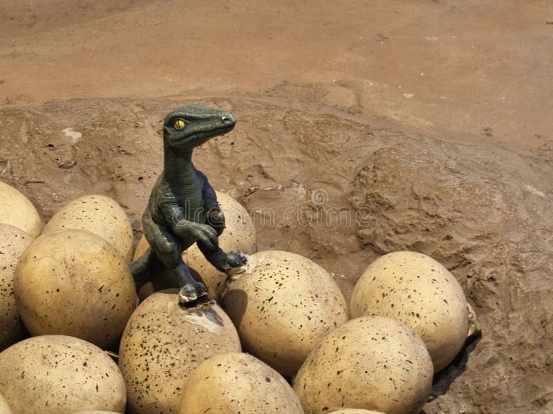 Baby Velociraptor Hatching from Egg in Nest – Dinosaur Model on Earthy ...