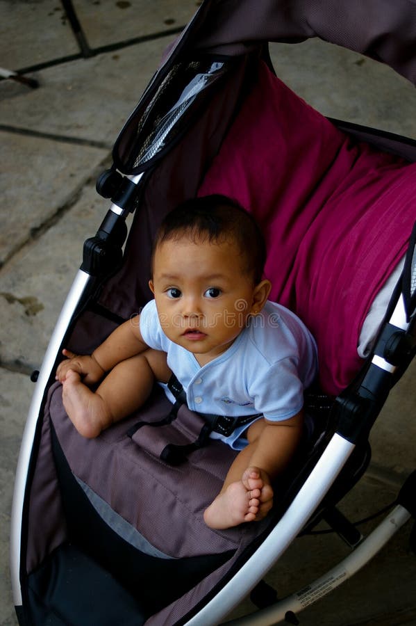 Baby Watching Inside Her Stroller Stock Photo - Image of child, little ...