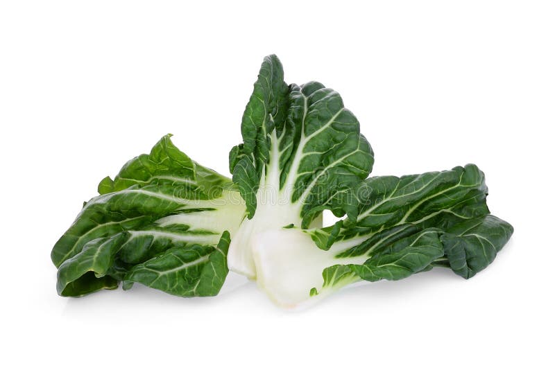 Baby White Pak Choi Isolated on White Stock Image - Image of isolated ...