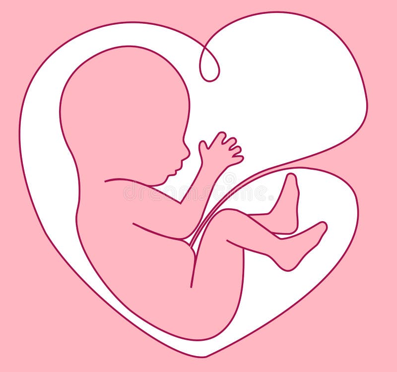 Unborn Baby Drawing Stock Illustrations – 305 Unborn Baby Drawing Stock ...