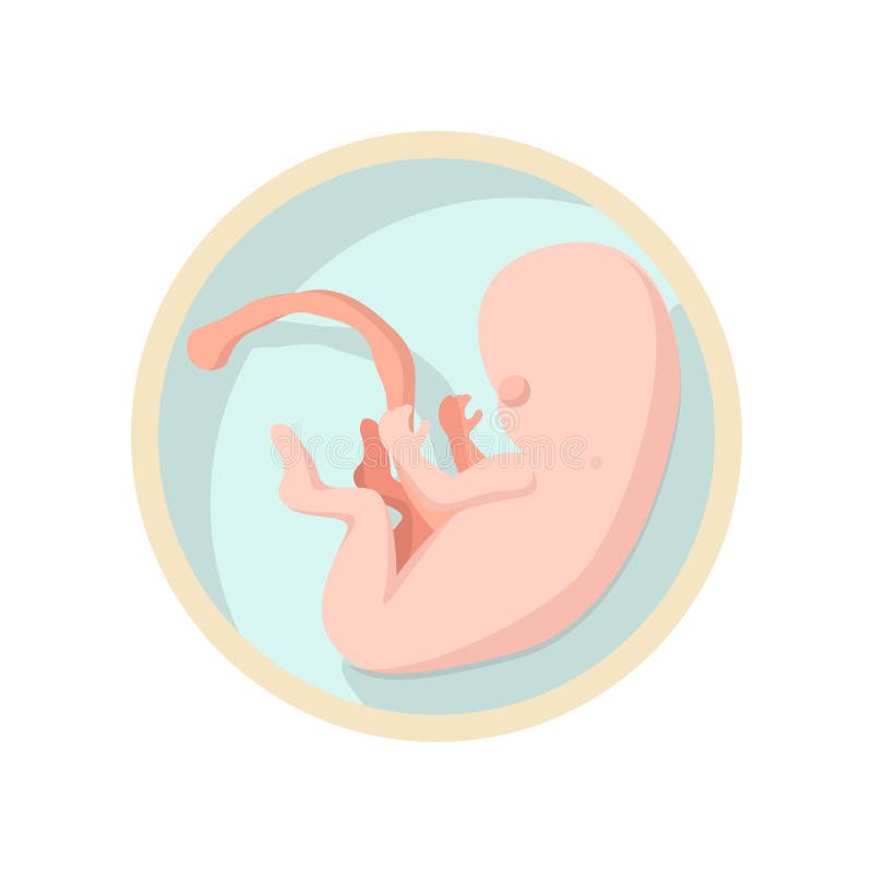 Unborn Baby Drawing Stock Illustrations – 305 Unborn Baby Drawing Stock ...