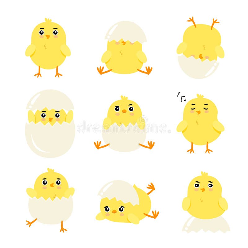 Cute Vector Set of Baby Chicks Character in Different Action Emotion ...