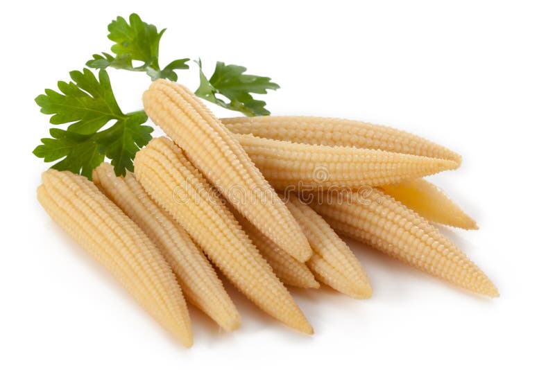 798 Persil Stock Photos - Free & Royalty-Free Stock Photos from Dreamstime