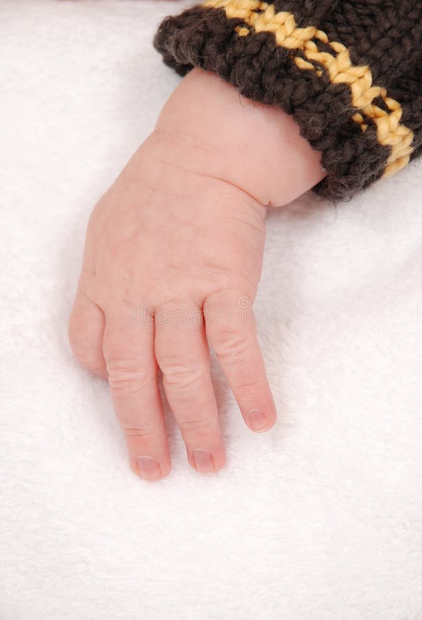 Babys hand stock image. Image of fingers, baby, precious - 5568487