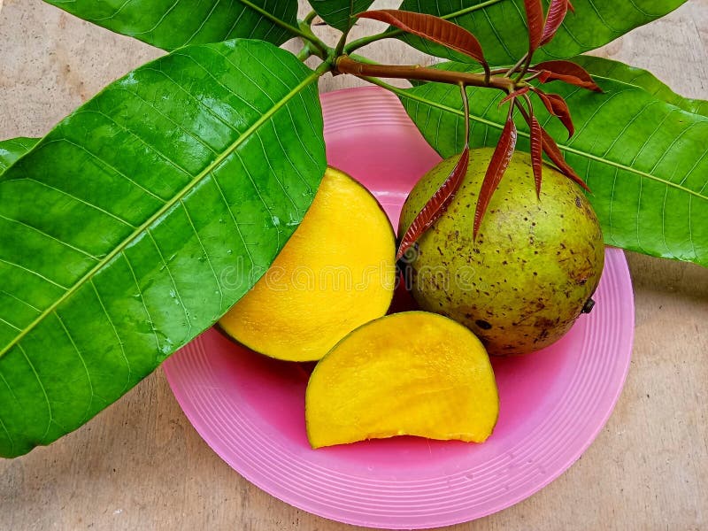 Bacang Mango Fruit is a Tropical Fruit that Taste Sweet and Sour Stock ...