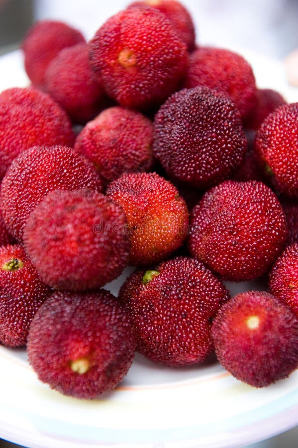 Bacca di mirica immagine stock. Immagine di buon, colorato - 14684395