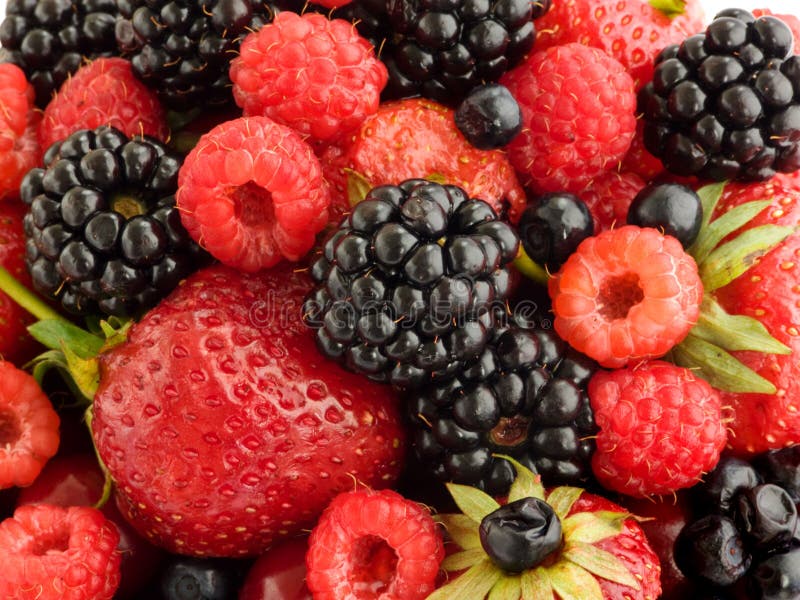 Bacche immagine stock. Immagine di gruppo, macro, fresco - 14993165