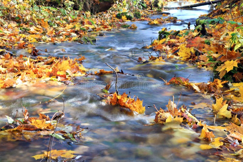 Bach im Herbst stockfoto. Bild von bach, blatt, nave - 48694364