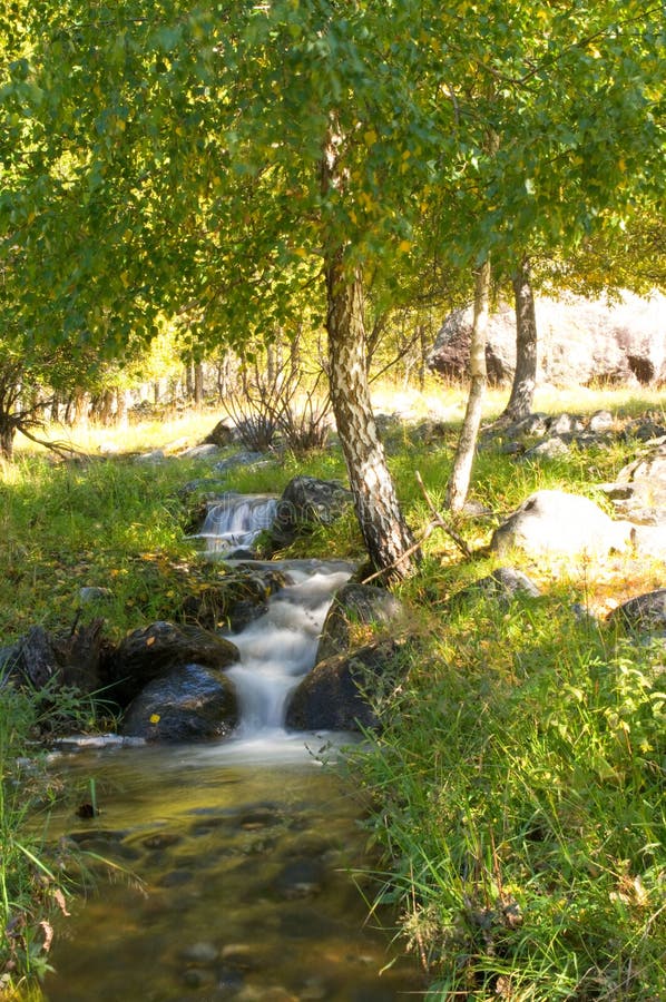 Bach im Wald stockbild. Bild von berührung, kühl, kaskade - 16320859
