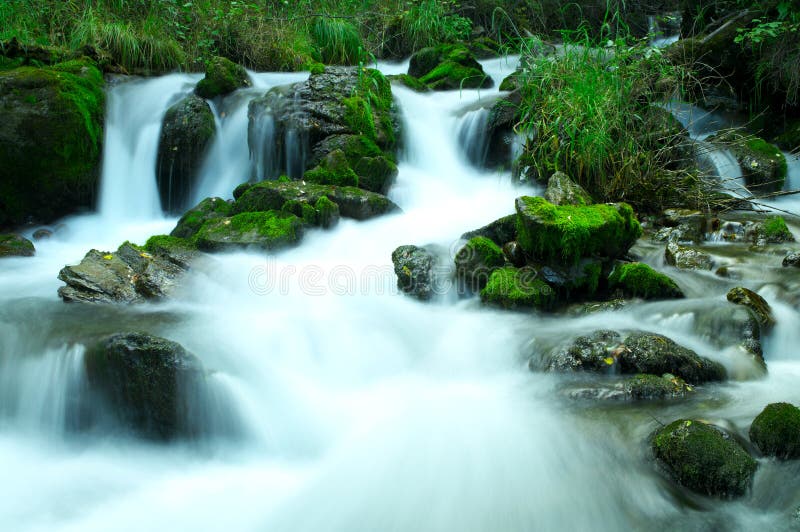 Bach im Wald stockbild. Bild von bächlein, gras, landschaft - 12826649