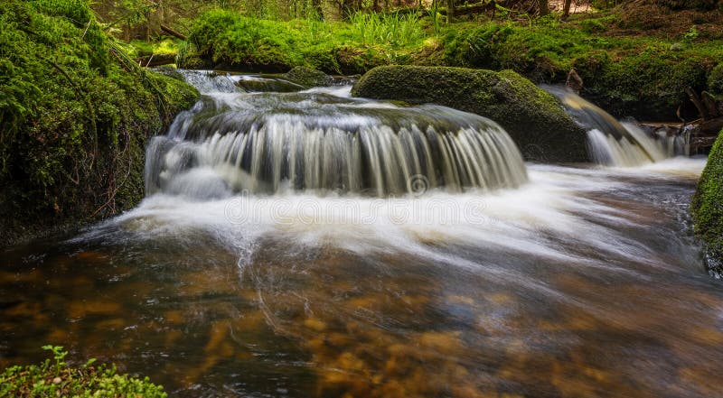 Bach im Wald stockbild. Bild von holz, bach, wasser, frisch - 1298245