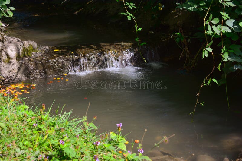 Bach im Wald stockfoto. Bild von idyllisch, umgebung - 57475534