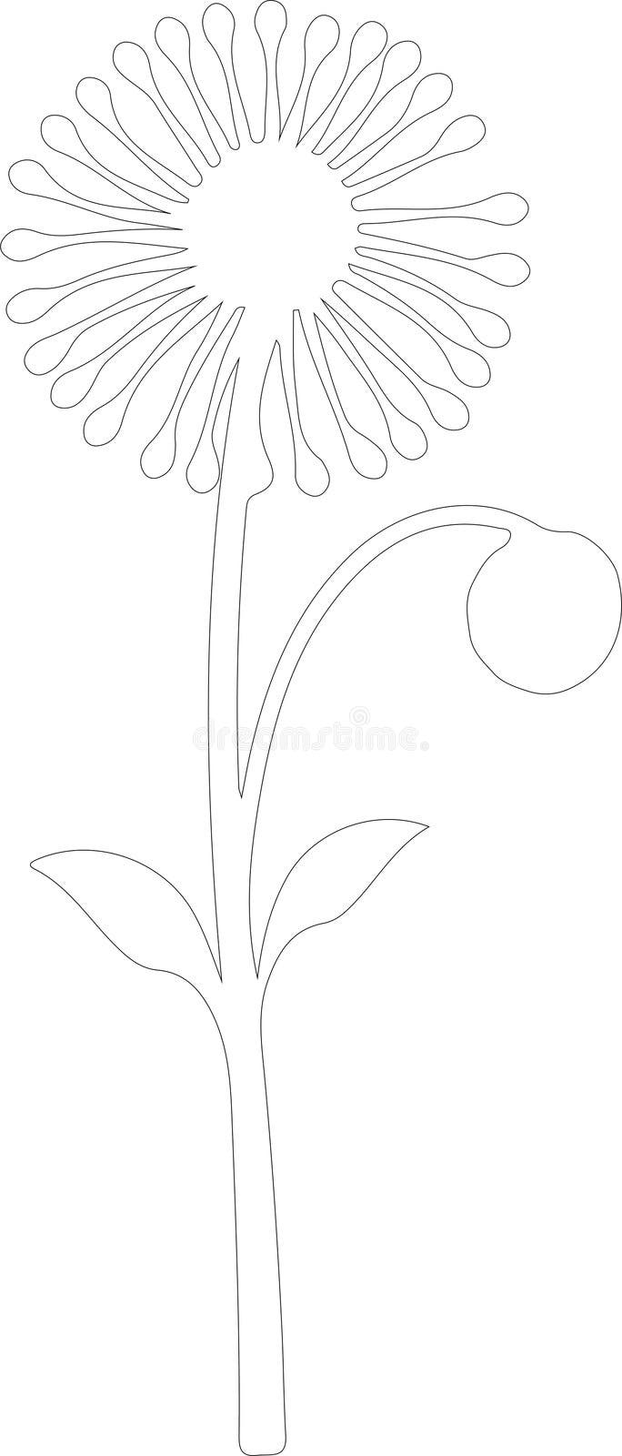 Bachelor Button Stock Illustrations – 1,146 Bachelor Button Stock ...