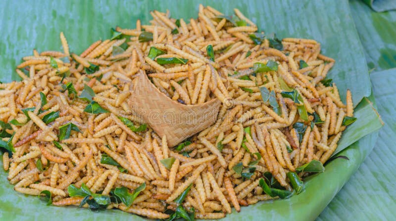 Bachi da seta fritti fotografia stock. Immagine di nave - 111157672
