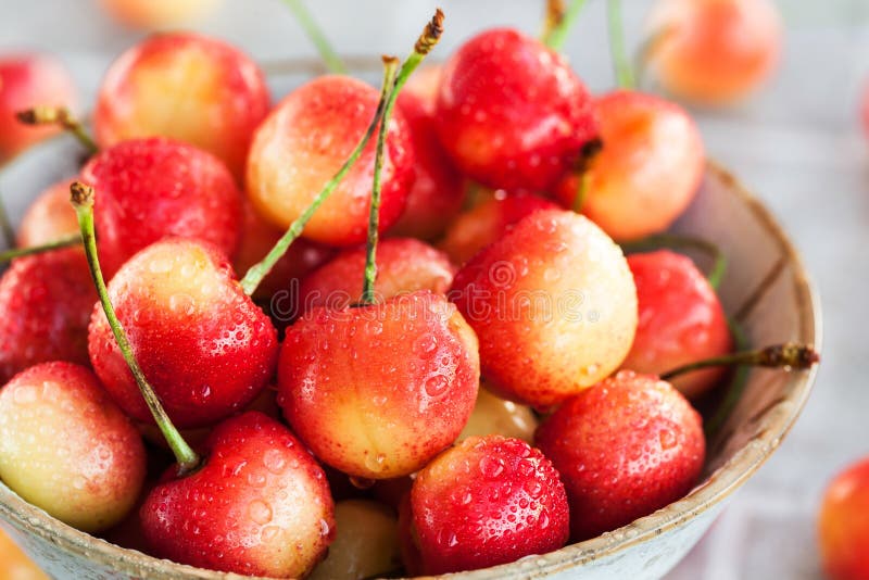 Bacia De Cereja Cor-de-rosa Molhada Fresca Imagem de Stock - Imagem de ...