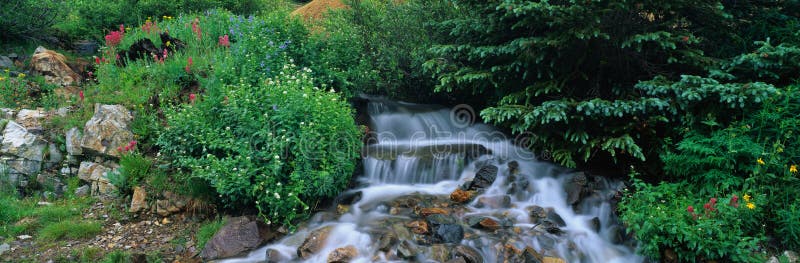 Bacia do menino do ianque imagem de stock. Imagem de américa - 23160225