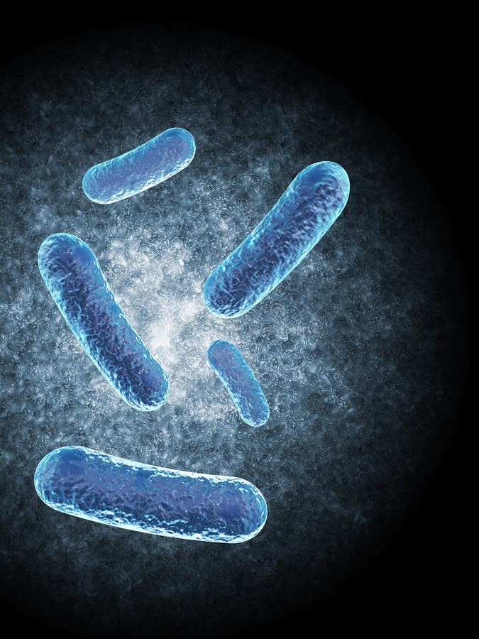 De Bacil Bacteriën Cisolated Met Het Knippen Van Weg Stock Illustratie ...