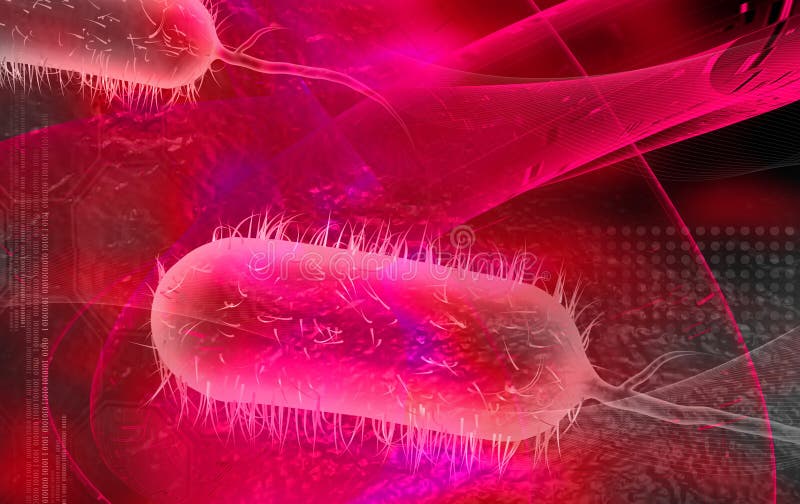 Bacil bacteriën stock illustratie. Illustratie bestaande uit organismen ...